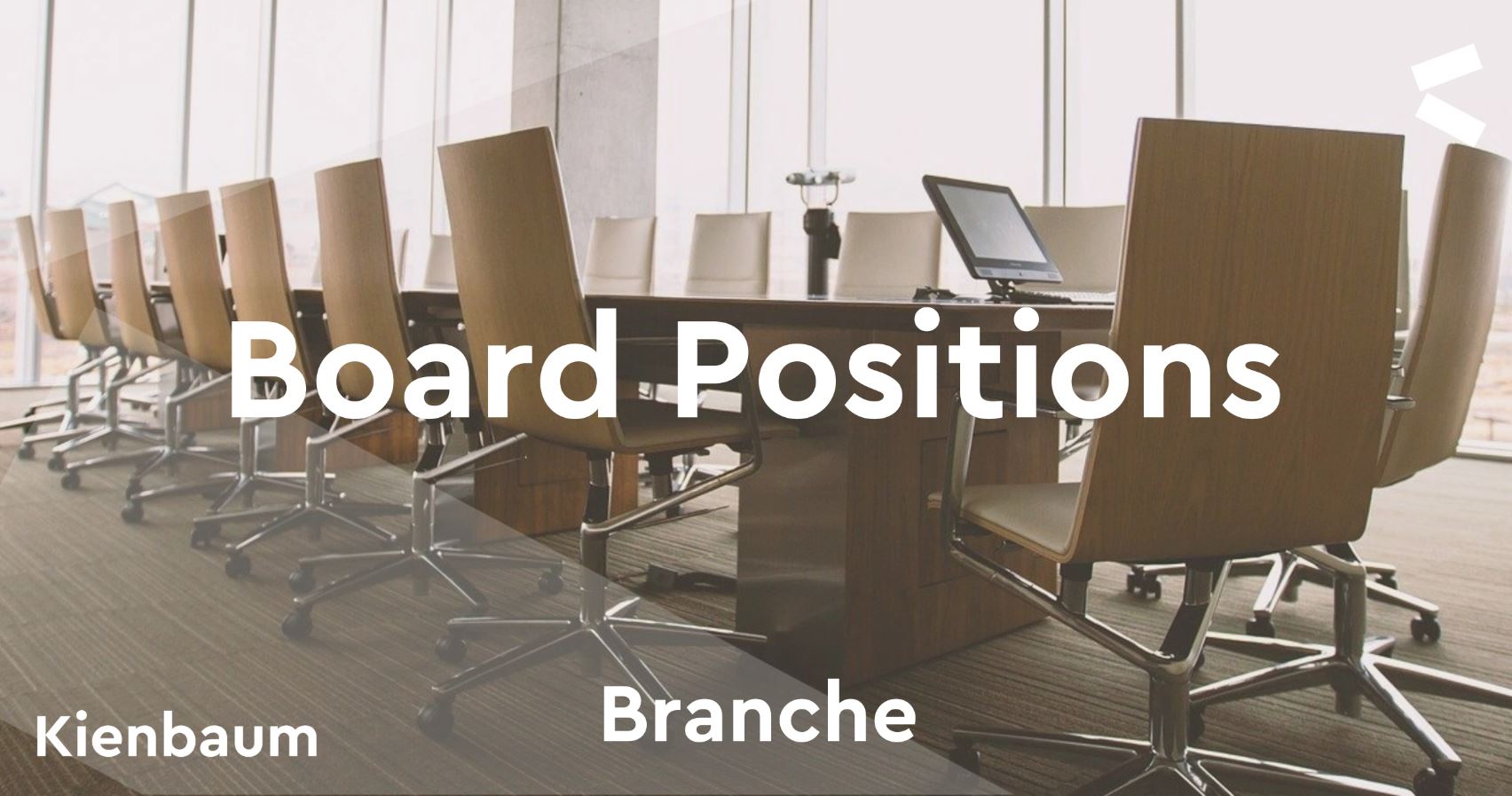 Kienbaum Sector: Board Positions